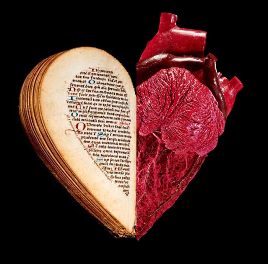 Two Hearts Dissection Desire Tickets Tue 14 Feb 2017 At 18 30 Two Hearts Dissection Desire Tickets Tue 14 Feb 2017 At 18 30